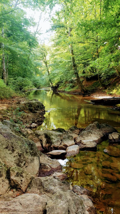 Ayr Mount — Richard Hampton Jenrette Foundation