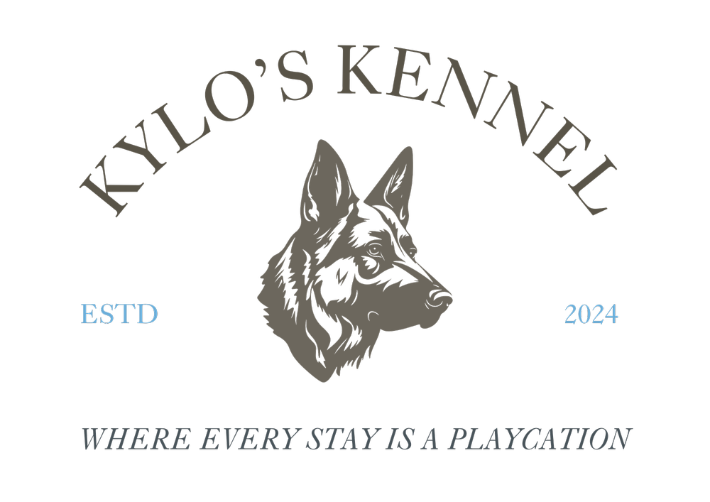 Welcome to Kylo's Kennel: Clarksville's Top Choice For Dog Boarding