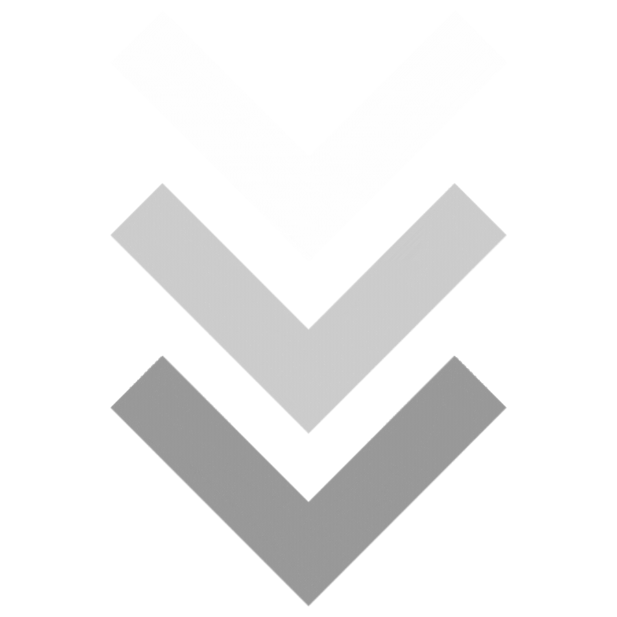 Program Support / Special Projects — Designs for Learning