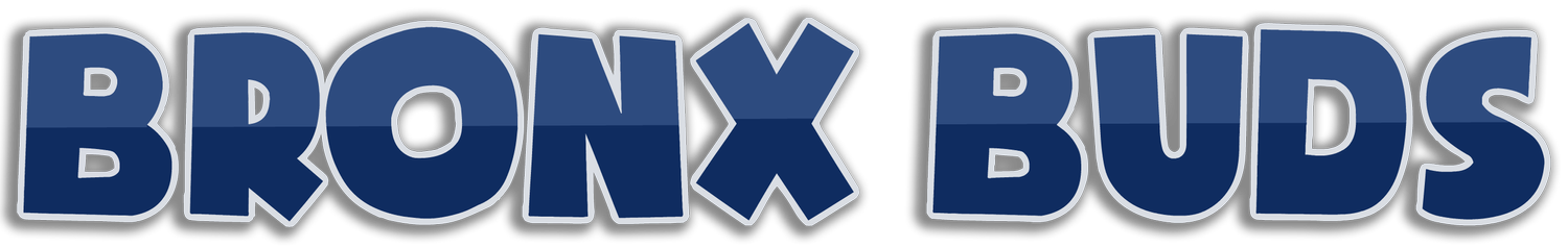 Bronx Buds | Discover Bronx Youth Baseball Today