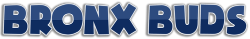 Bronx Buds | Discover Bronx Youth Baseball Today