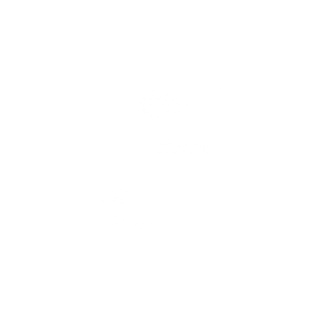 What We Do — Fearless Foundry