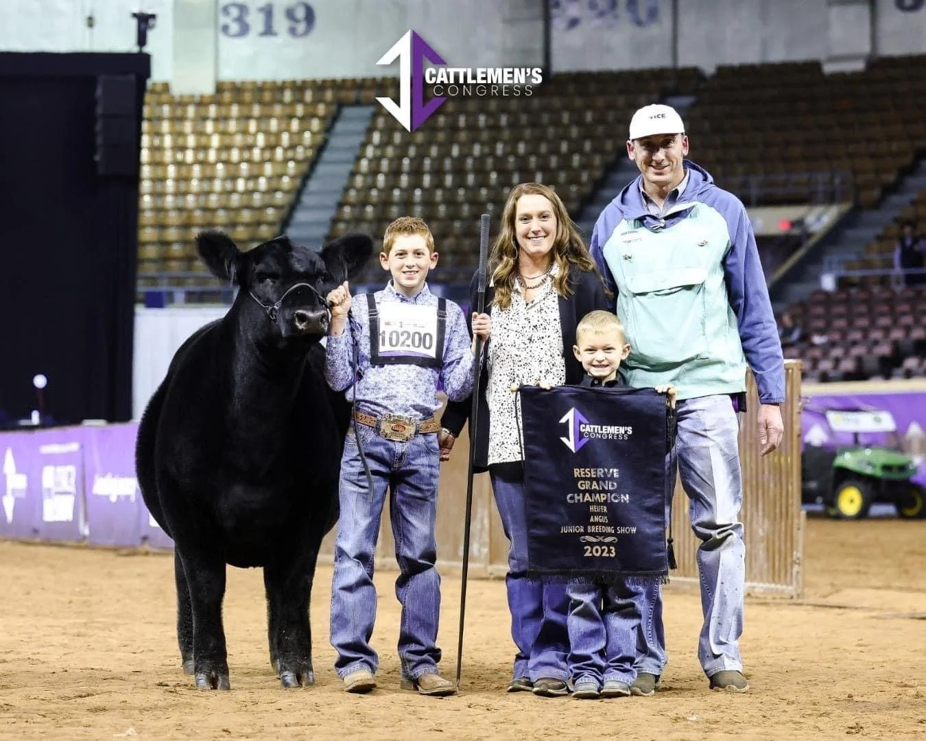 Schaeffer Show Cattle