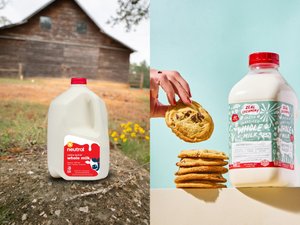 Neutral Foods merges with grass-fed dairy milk brand Zeal Creamery ...