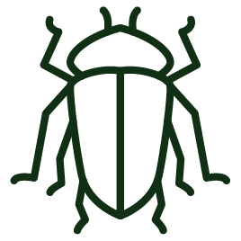 Best Pest Control OKC - Terrascapes — Terrascapes