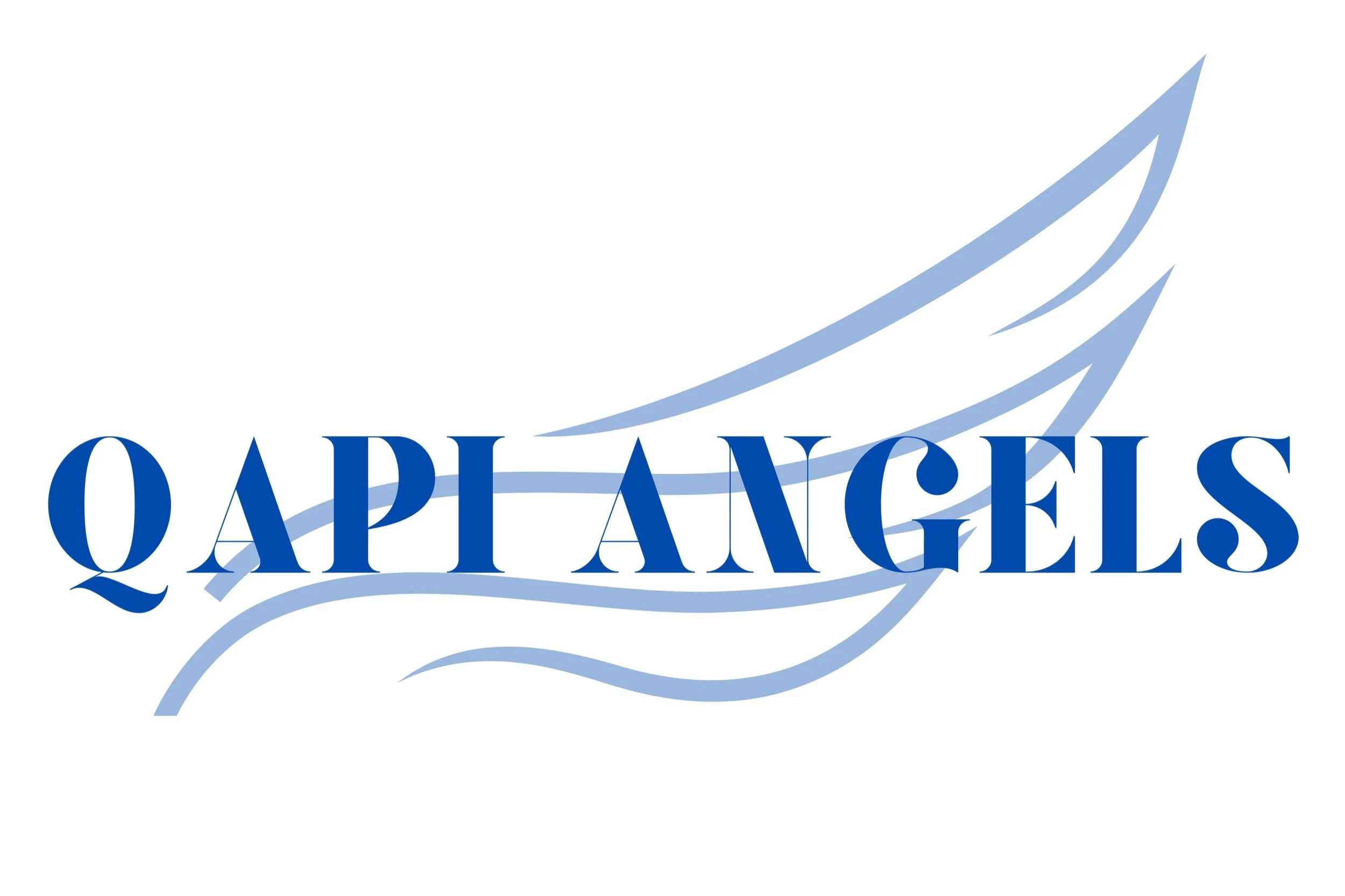 Qapi Logo Participation In QAPI Meetings