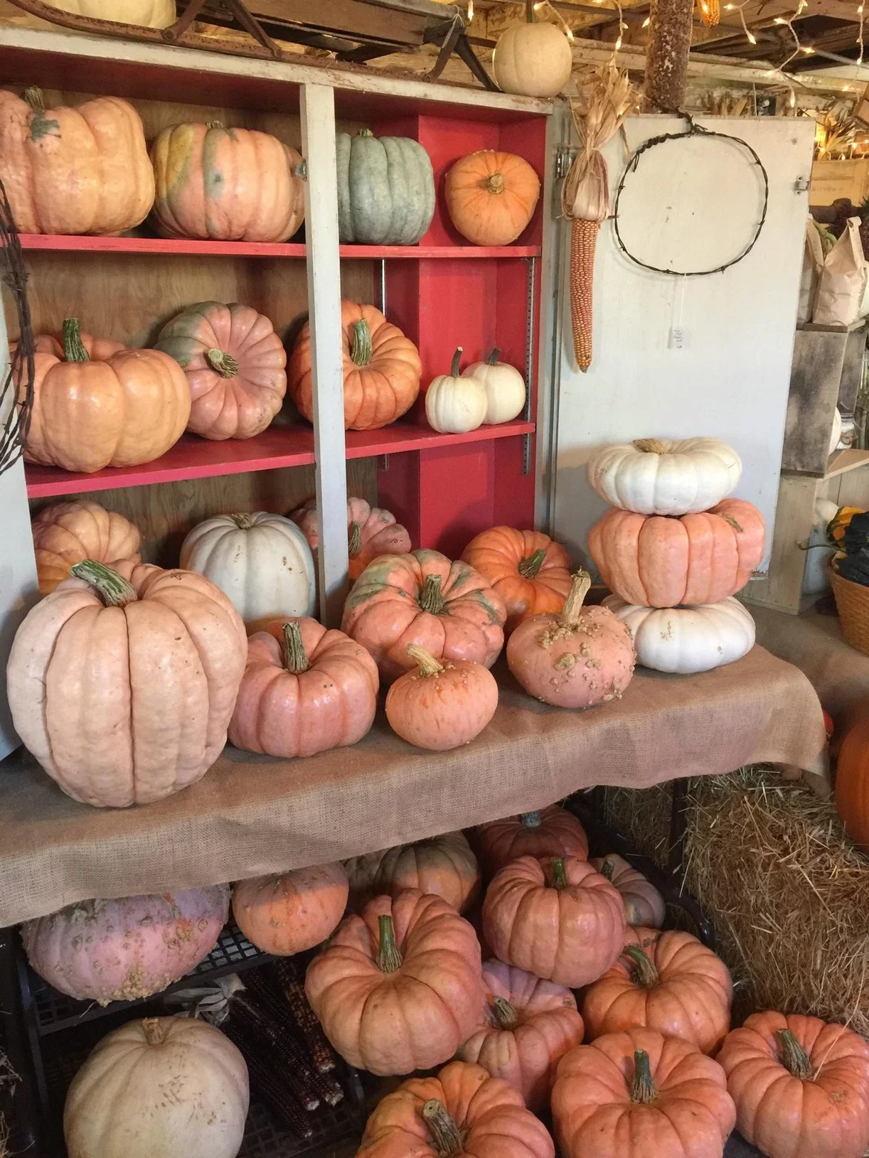 Services 2 — Pearson Family Farm