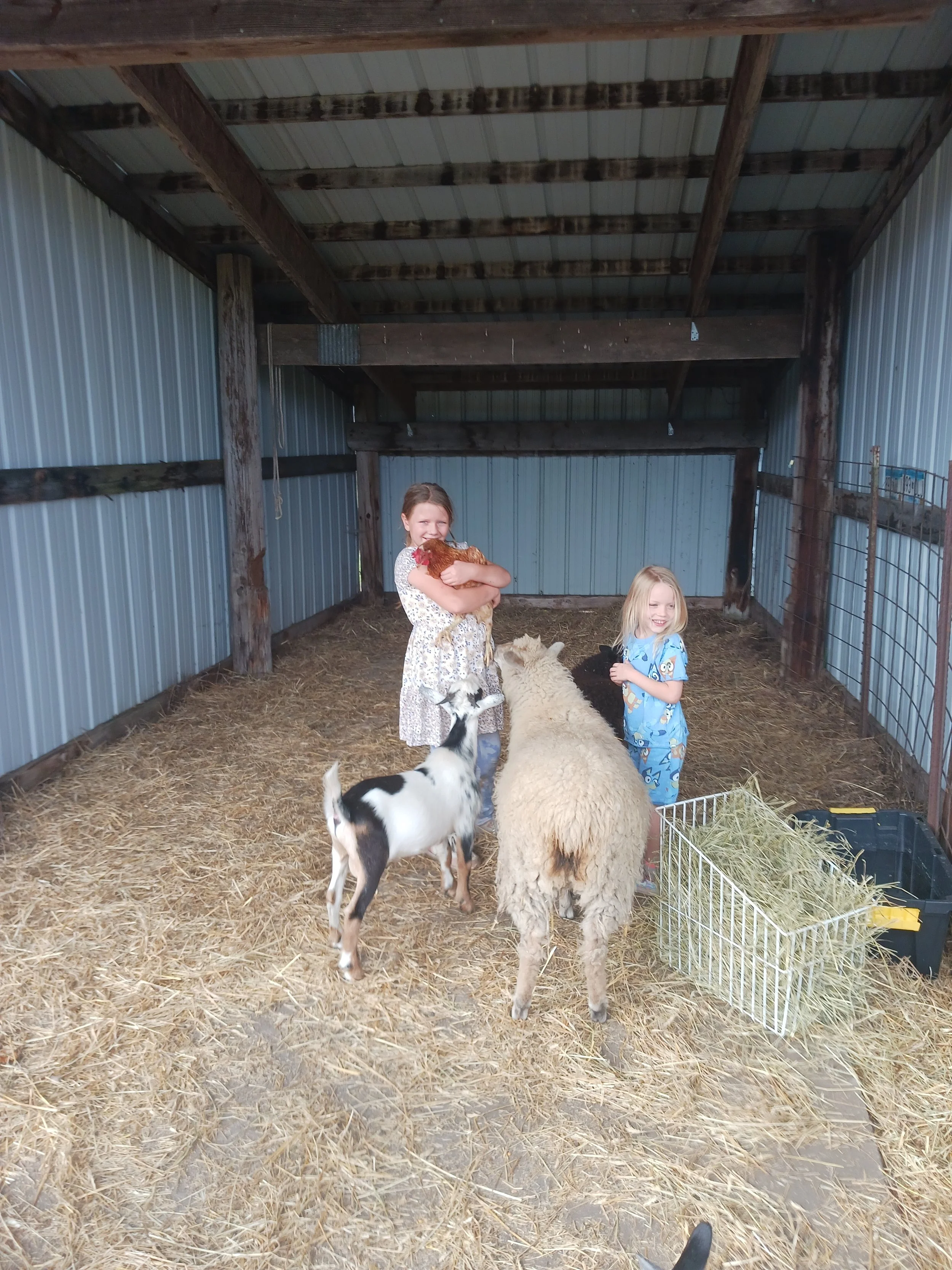 Pearson Family Farm