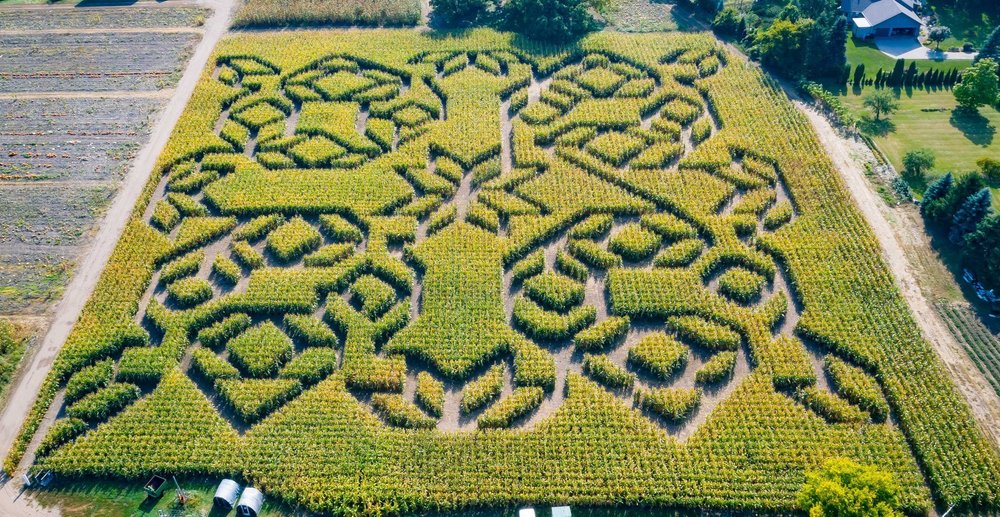 Gallery 1 — Pearson Family Farm