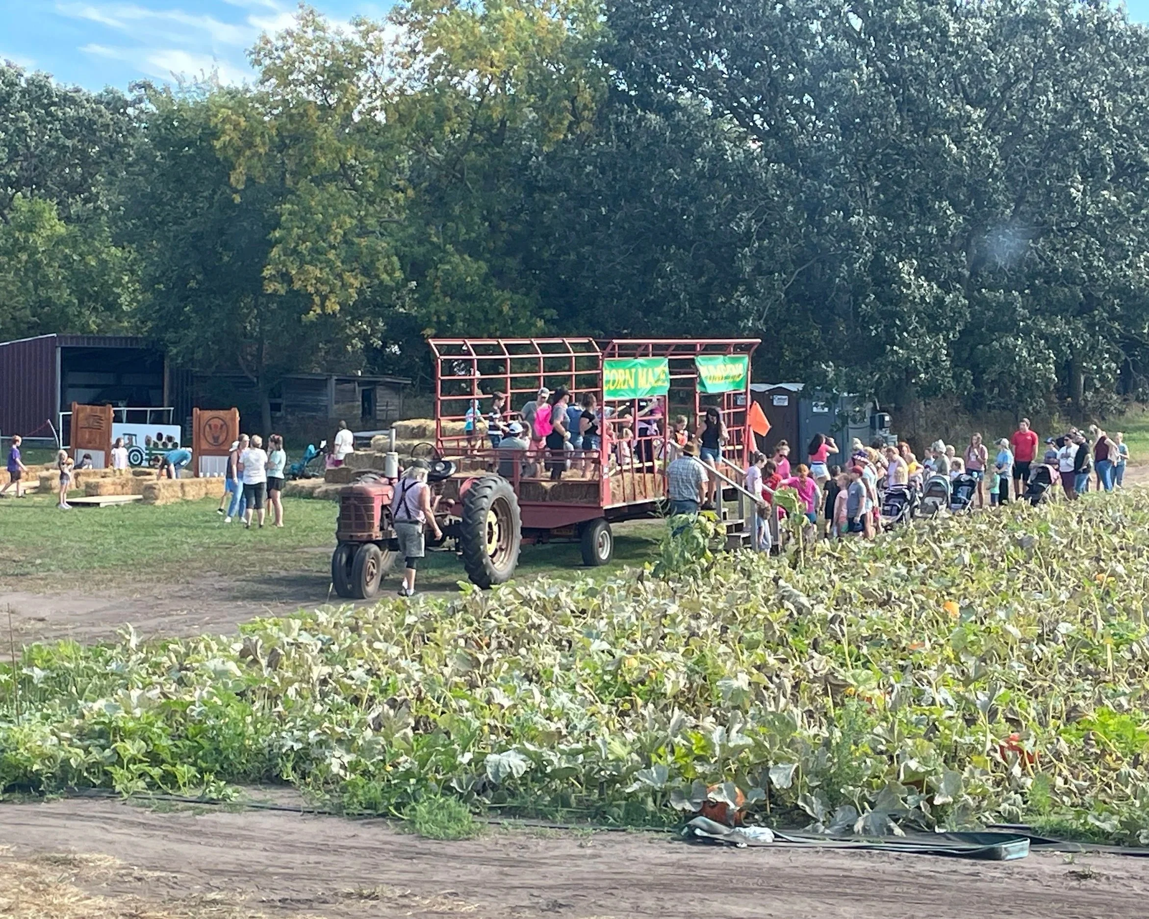 Pearson Family Farm