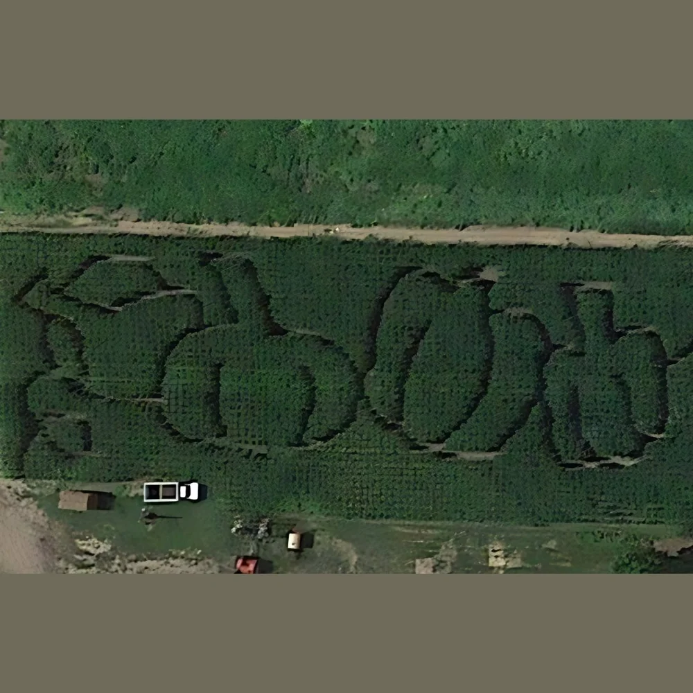 Gallery 1 — Pearson Family Farm