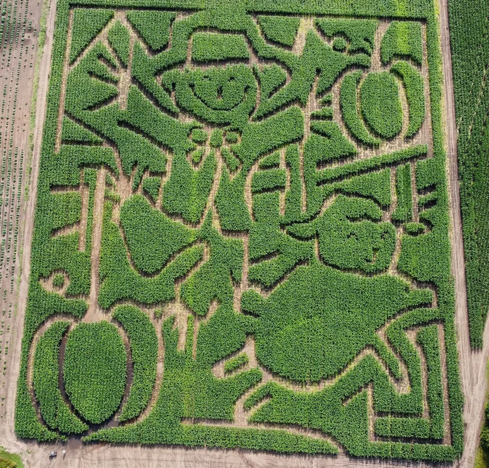 Gallery 1 — Pearson Family Farm