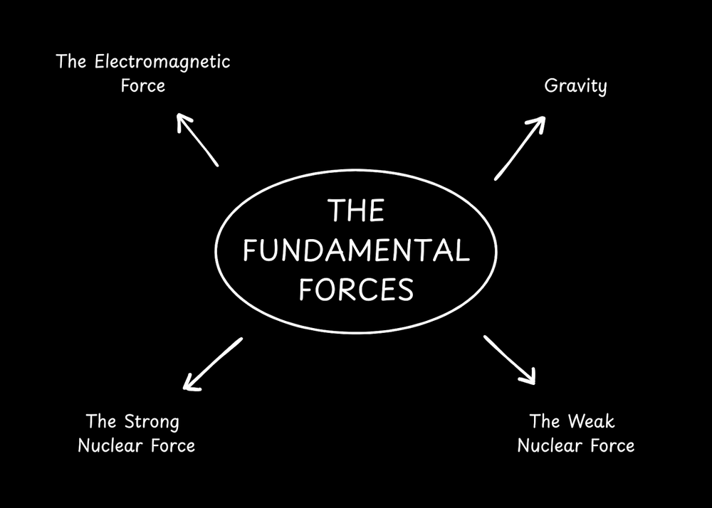 The Fundamental Forces of Nature — Accepting the Universe