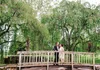 A Virginia Tech Duck Pond Engagement - Ashley & David