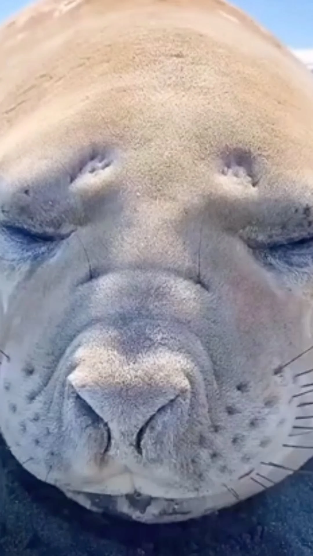 Sell Diabetic Supplies SoCal Cash Today For Your Diabetic Supplies ...