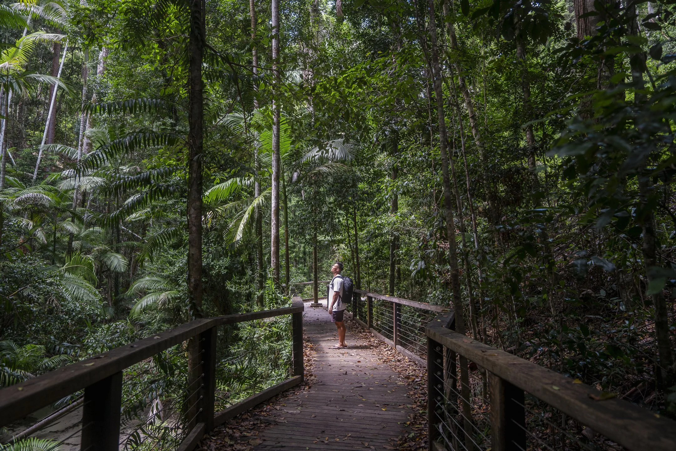 Home - fraserisland.net