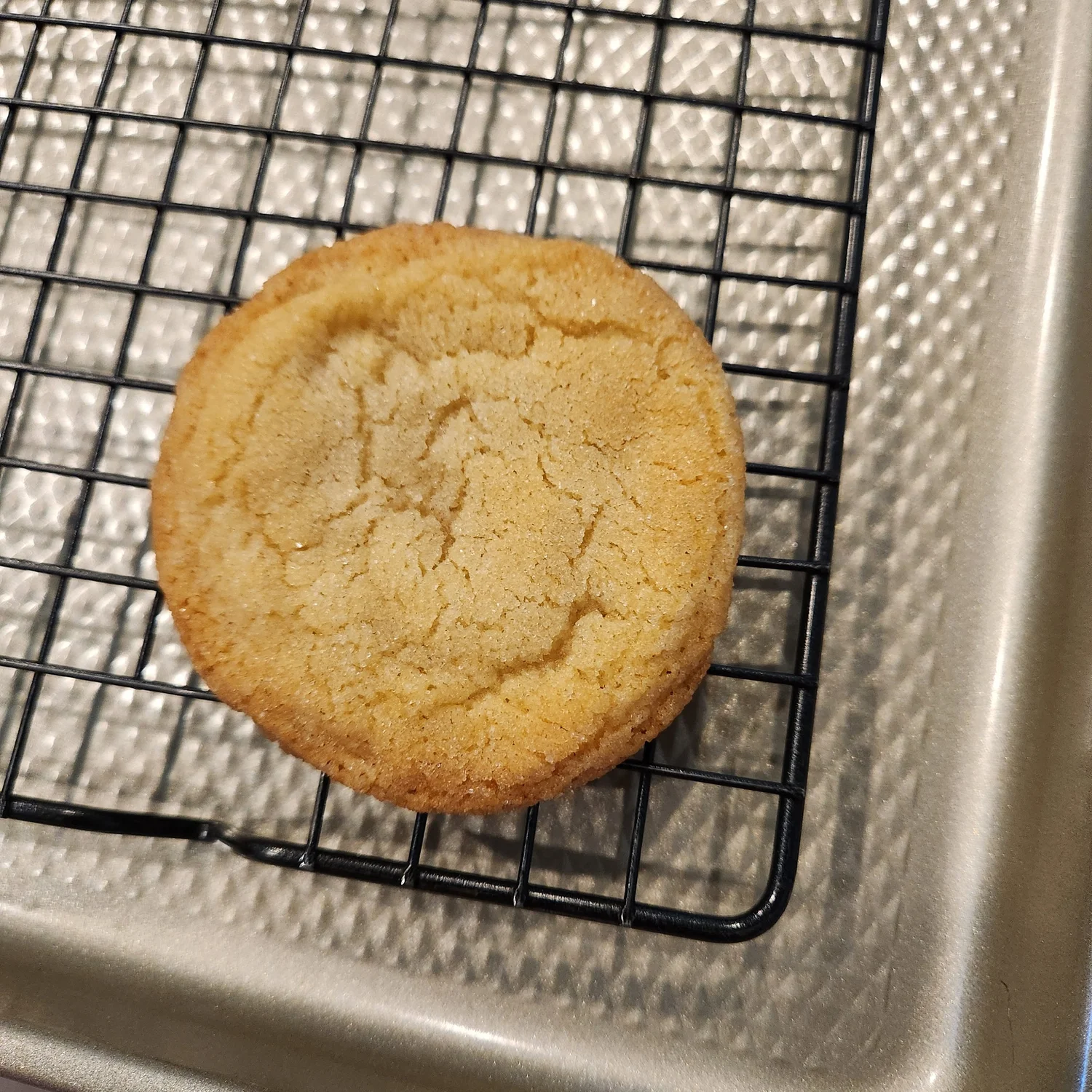 The Cookie Jar