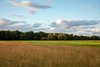 Rowley Country Club
