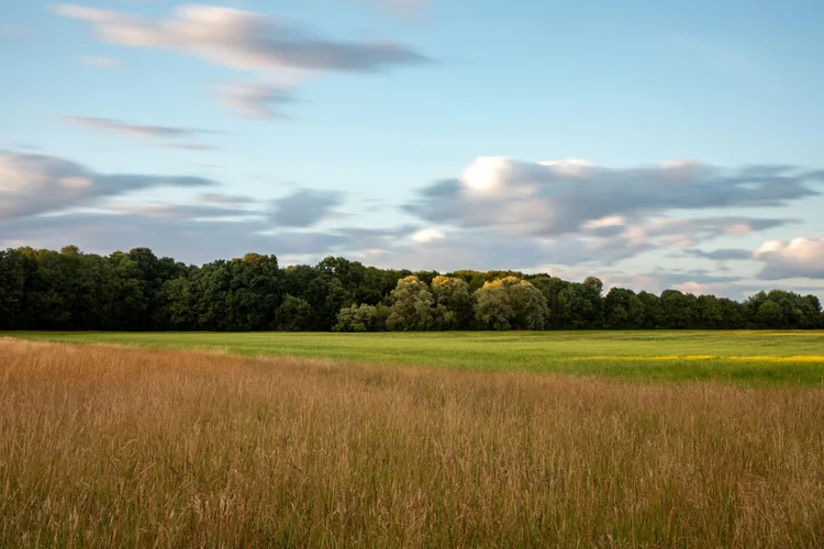 Rowley Country Club