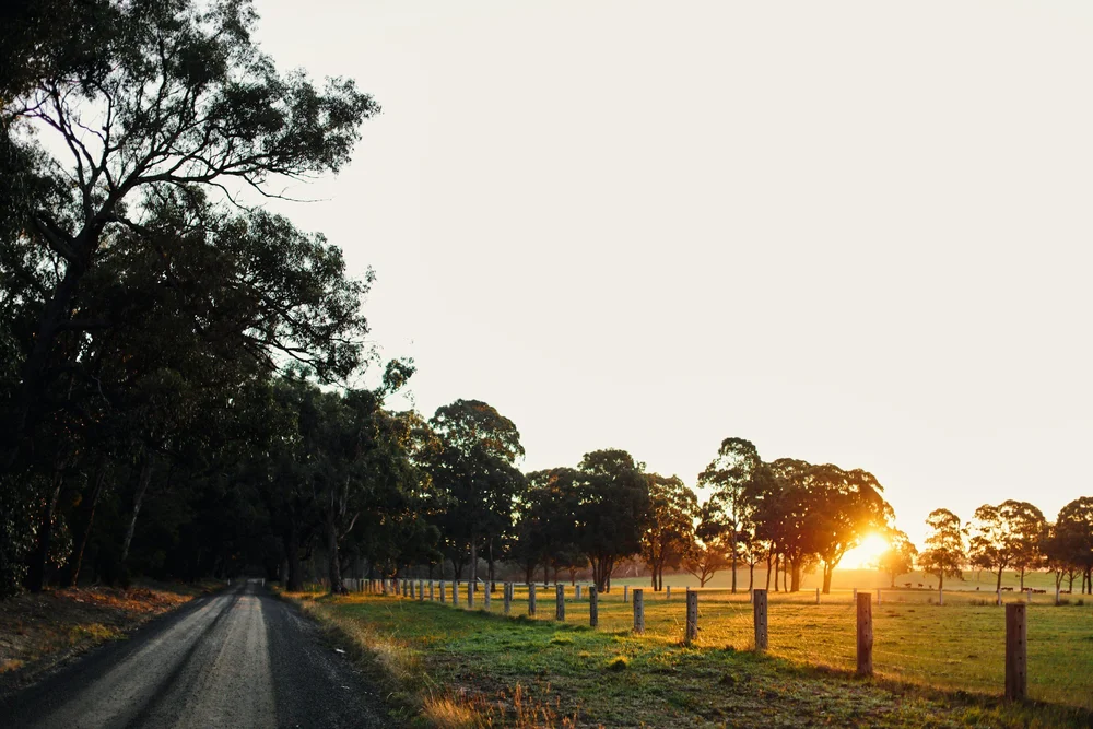Winery, Pub & Brewery Bus Tours | Inverloch | South Gippsland ...