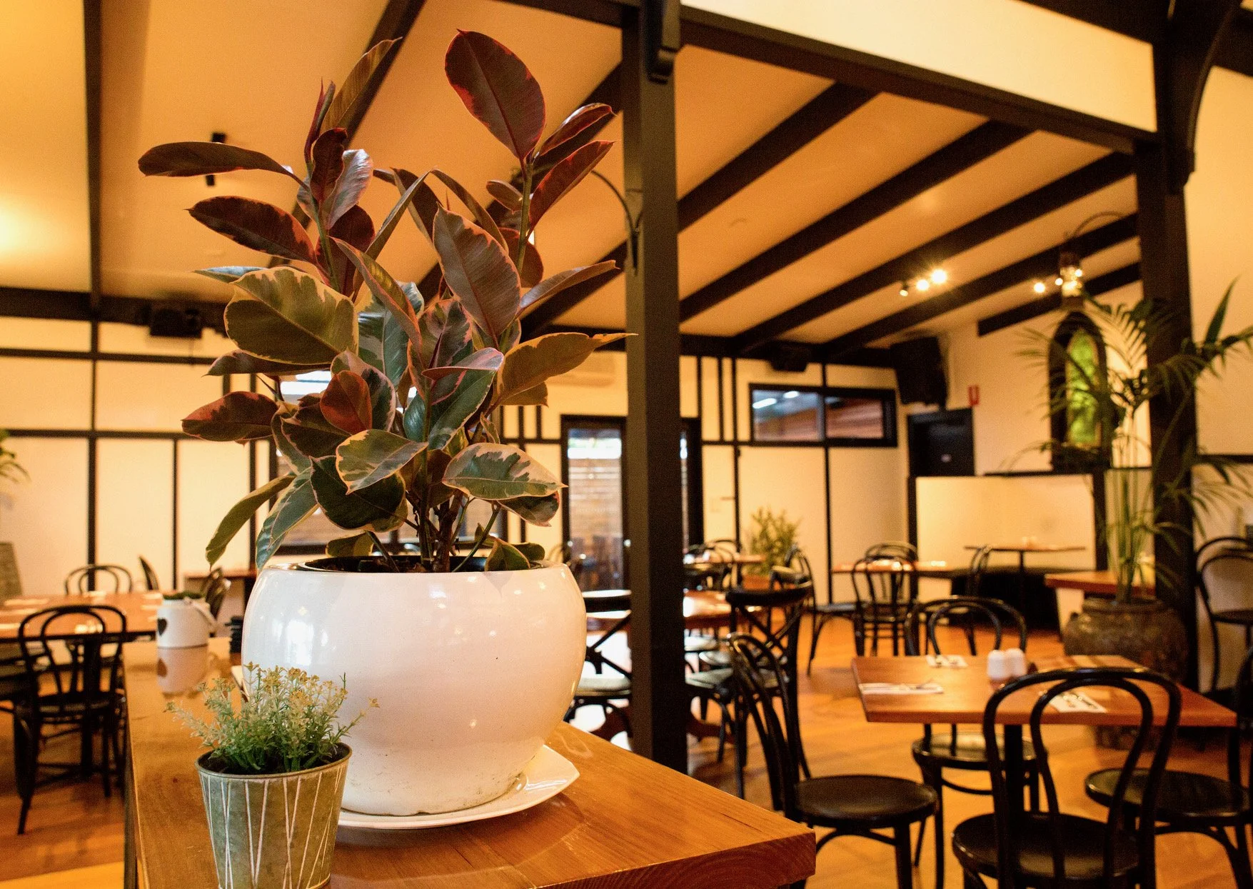Gallery — Chapel Lane, Restaurant & Bar