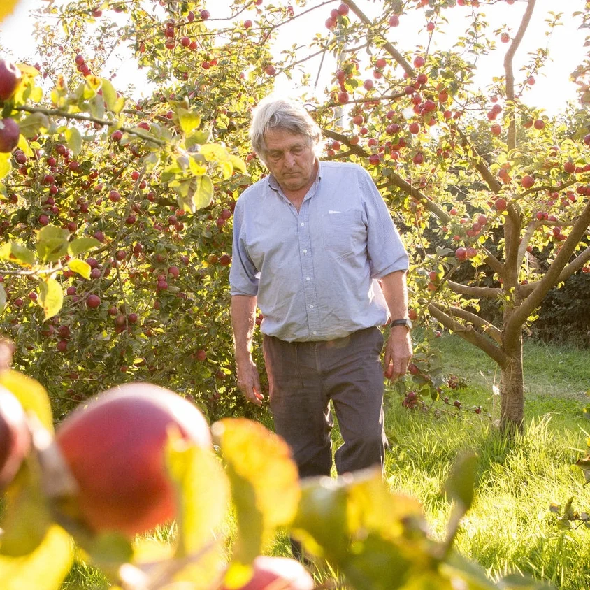 The Somerset Cider Brandy Company & Burrow Hill Cider