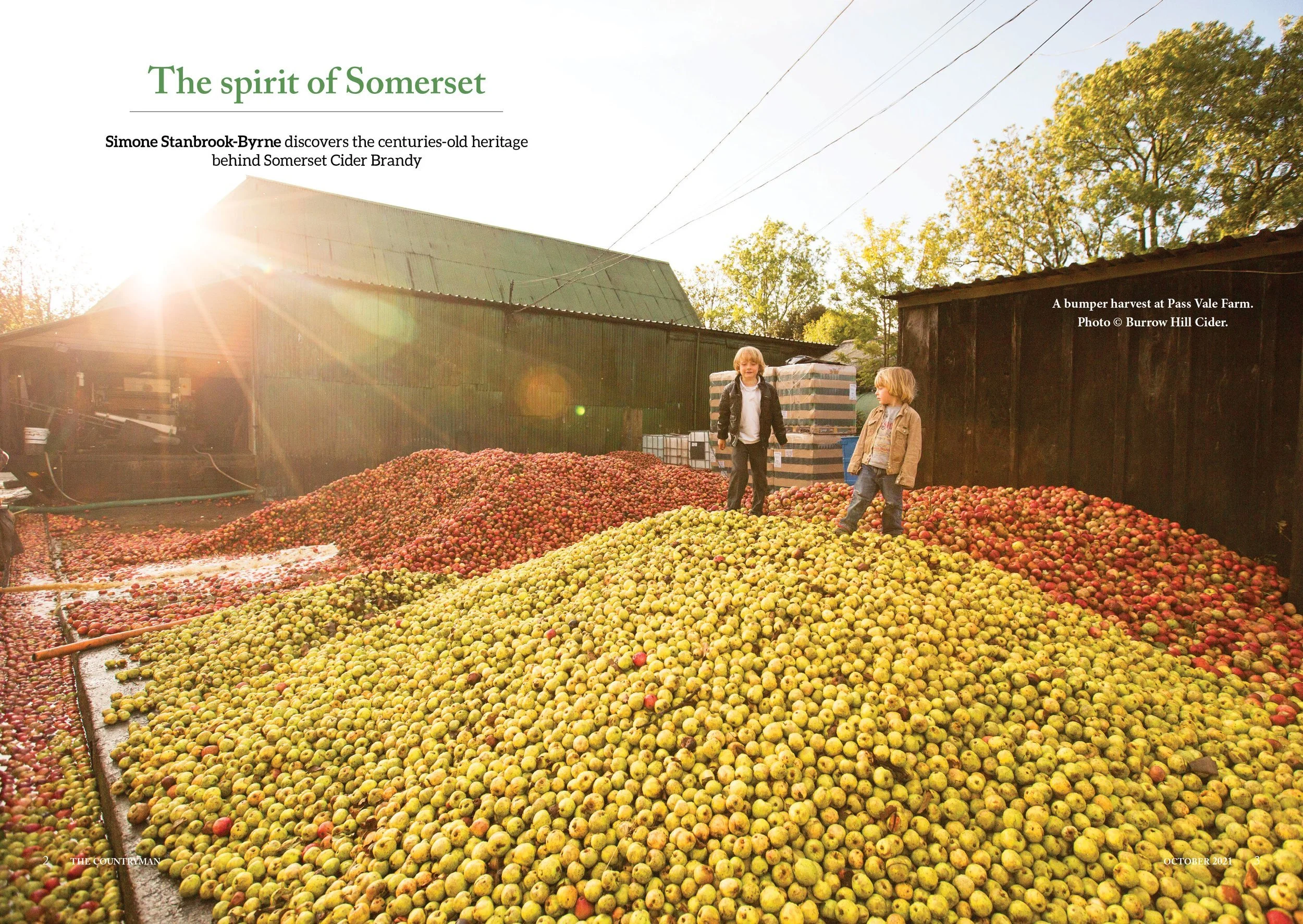 Countryman Magazine 2021 — Somerset Cider Brandy Company & Burrow Hill ...