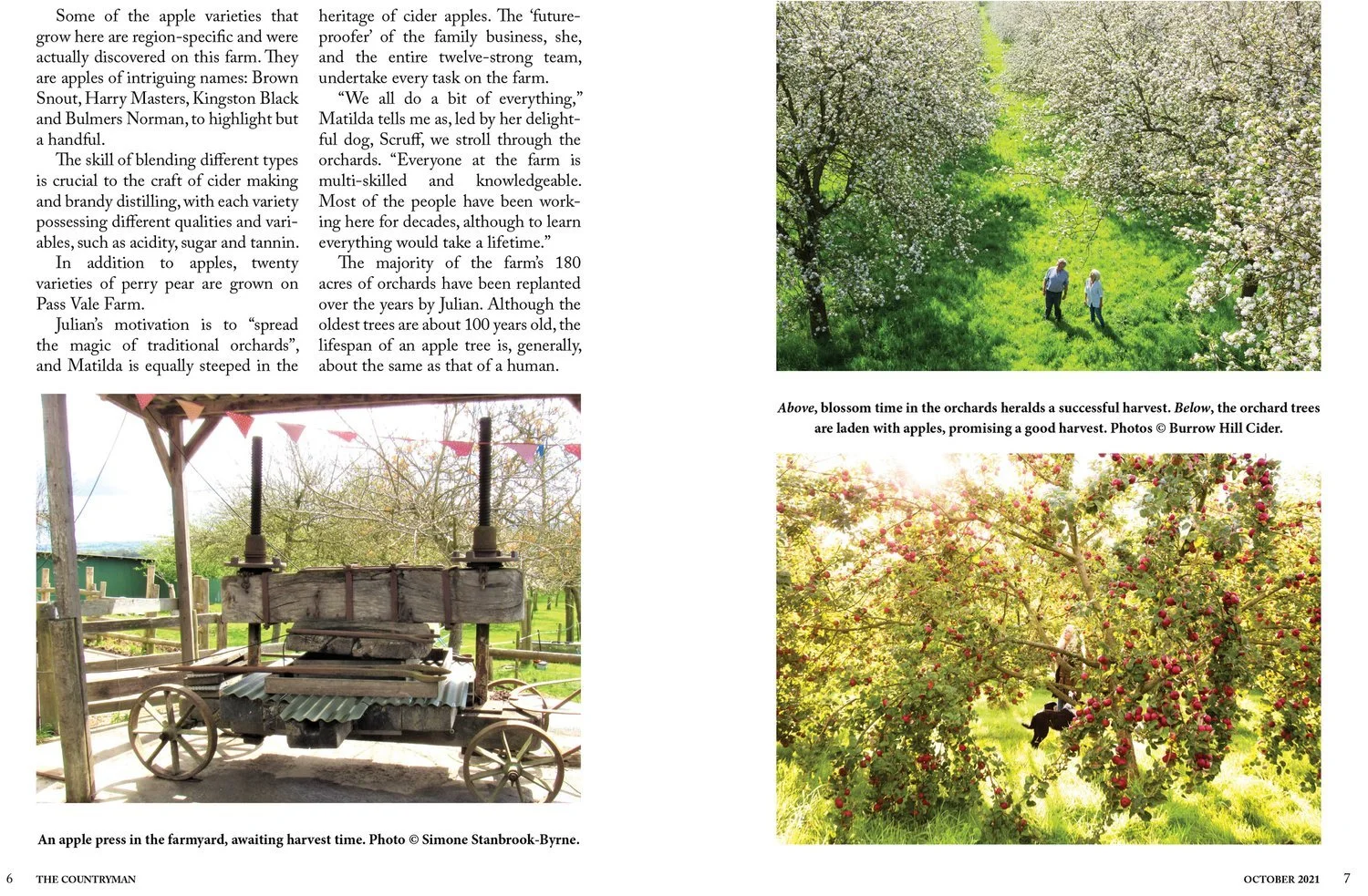Countryman Magazine 2021 — Somerset Cider Brandy Company & Burrow Hill ...
