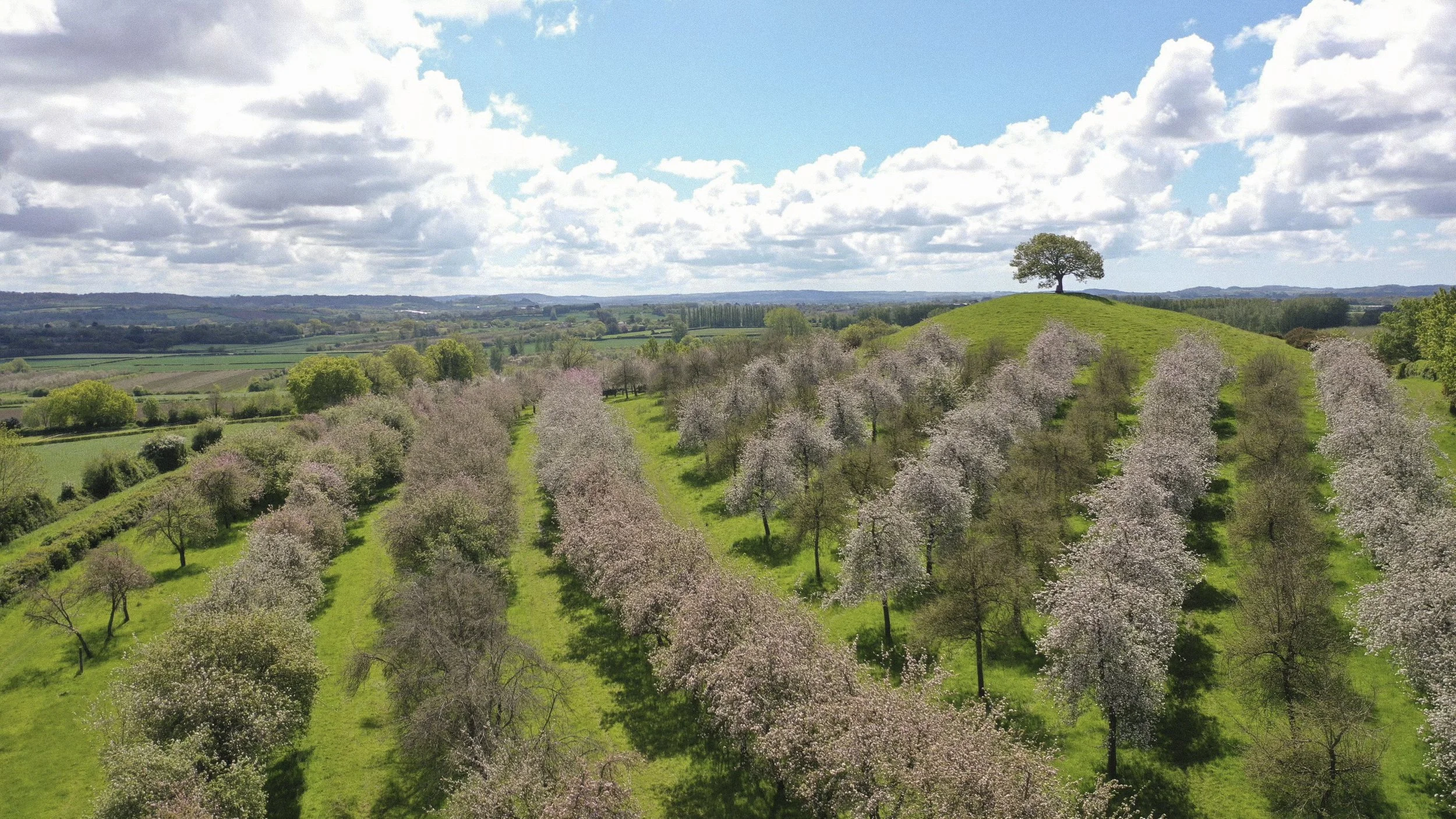 The Somerset Cider Brandy Company & Burrow Hill Cider