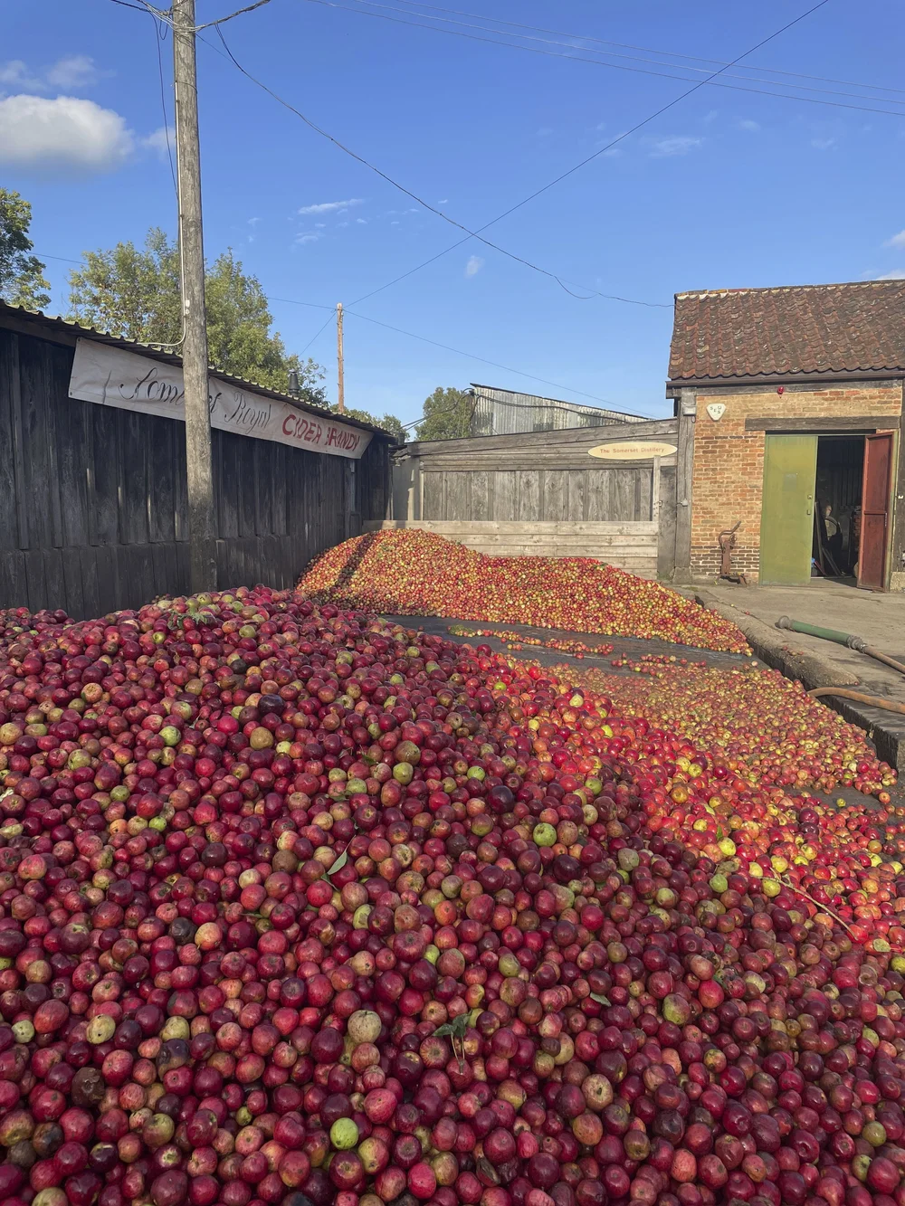 The Somerset Cider Brandy Company & Burrow Hill Cider