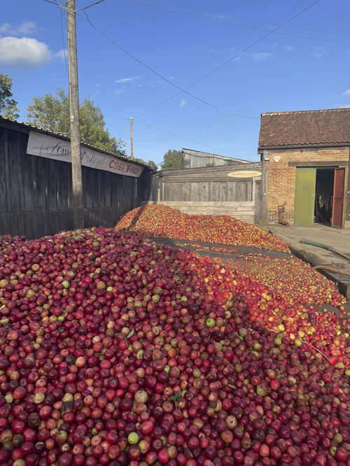 The Somerset Cider Brandy Company & Burrow Hill Cider