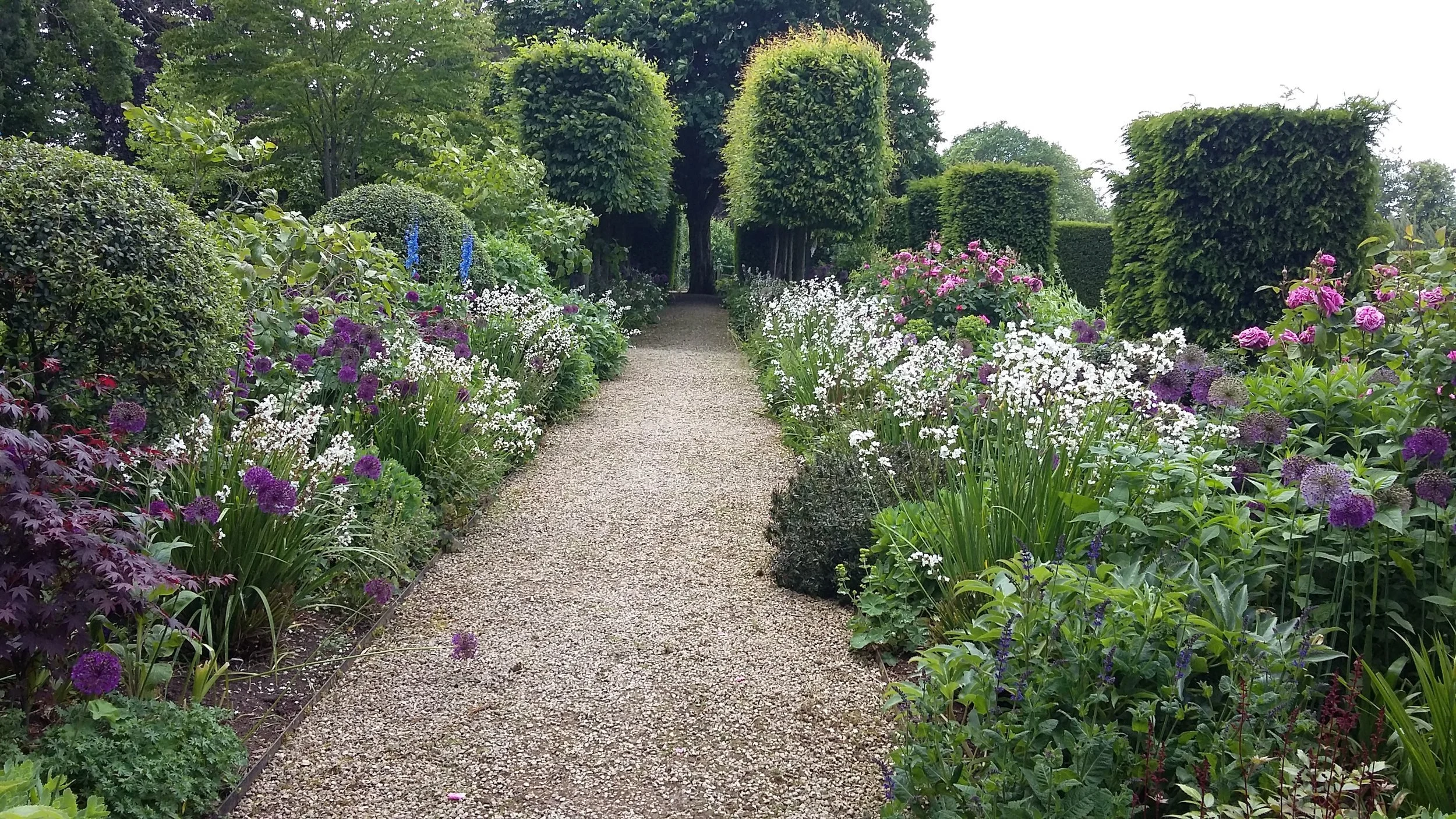 Garden Design Services - Consultations, Planting & Design — Mark Walker ...