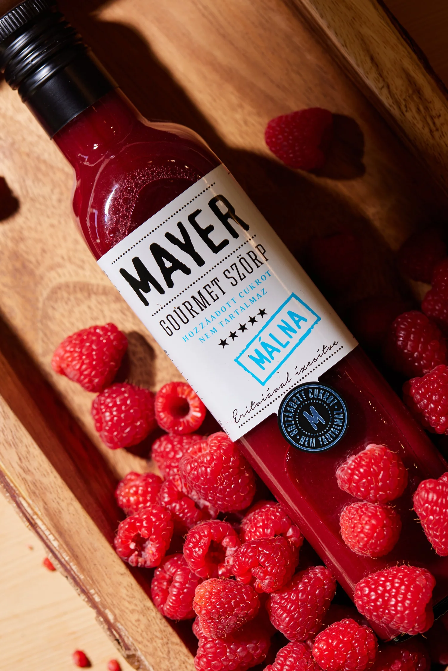 Mayer - North America