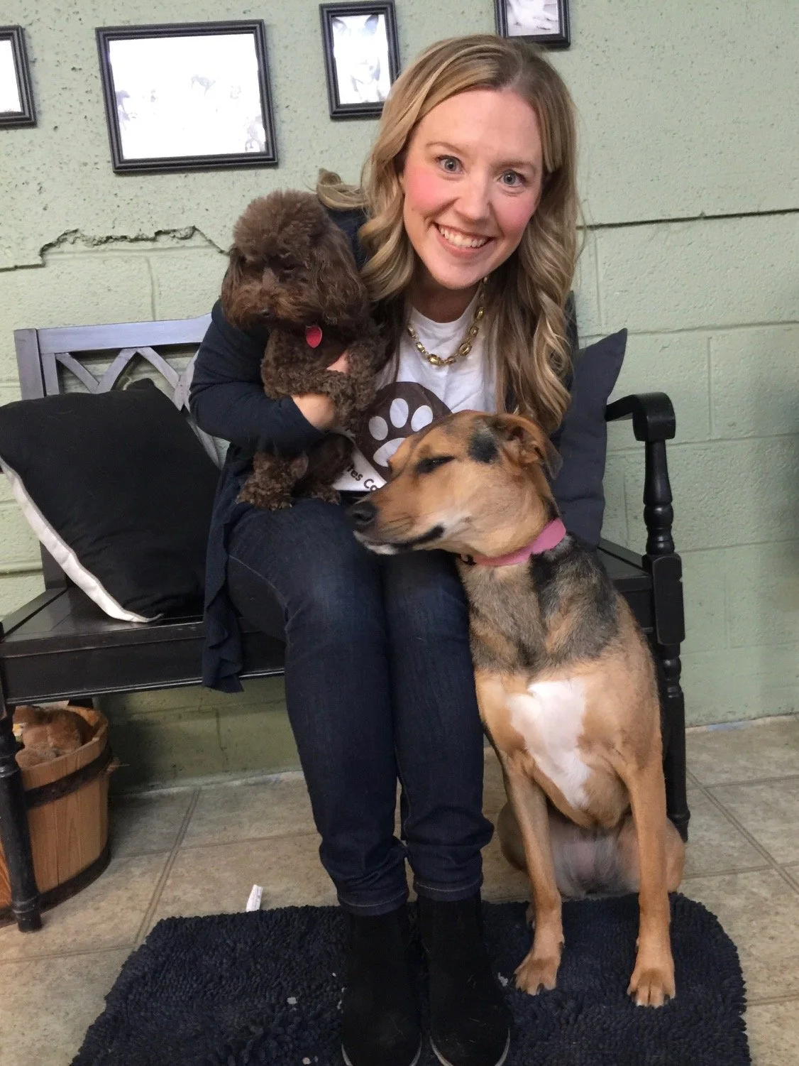 Kate's Canine Resort | Experience Quality Pet Care Today