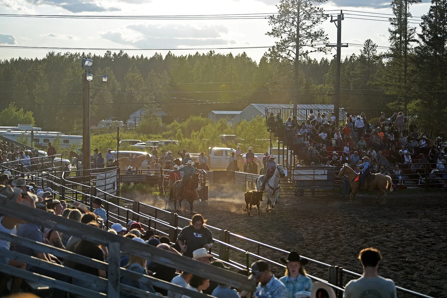 Rodeo in Columbia Falls, MT | Brash Rodeo in Columbia Falls, Montana ...
