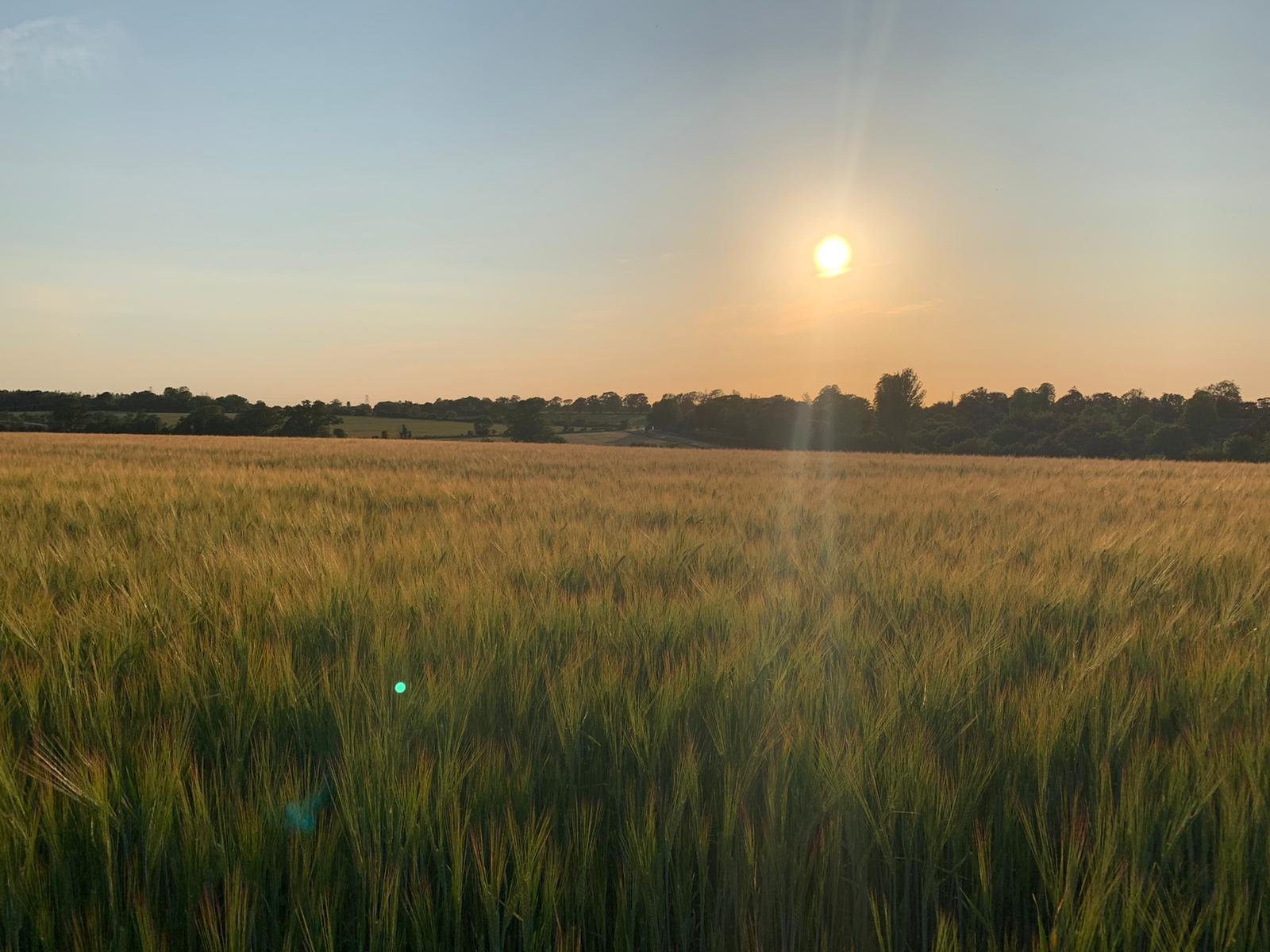 Whole Farm Management — David Miller Farm Services