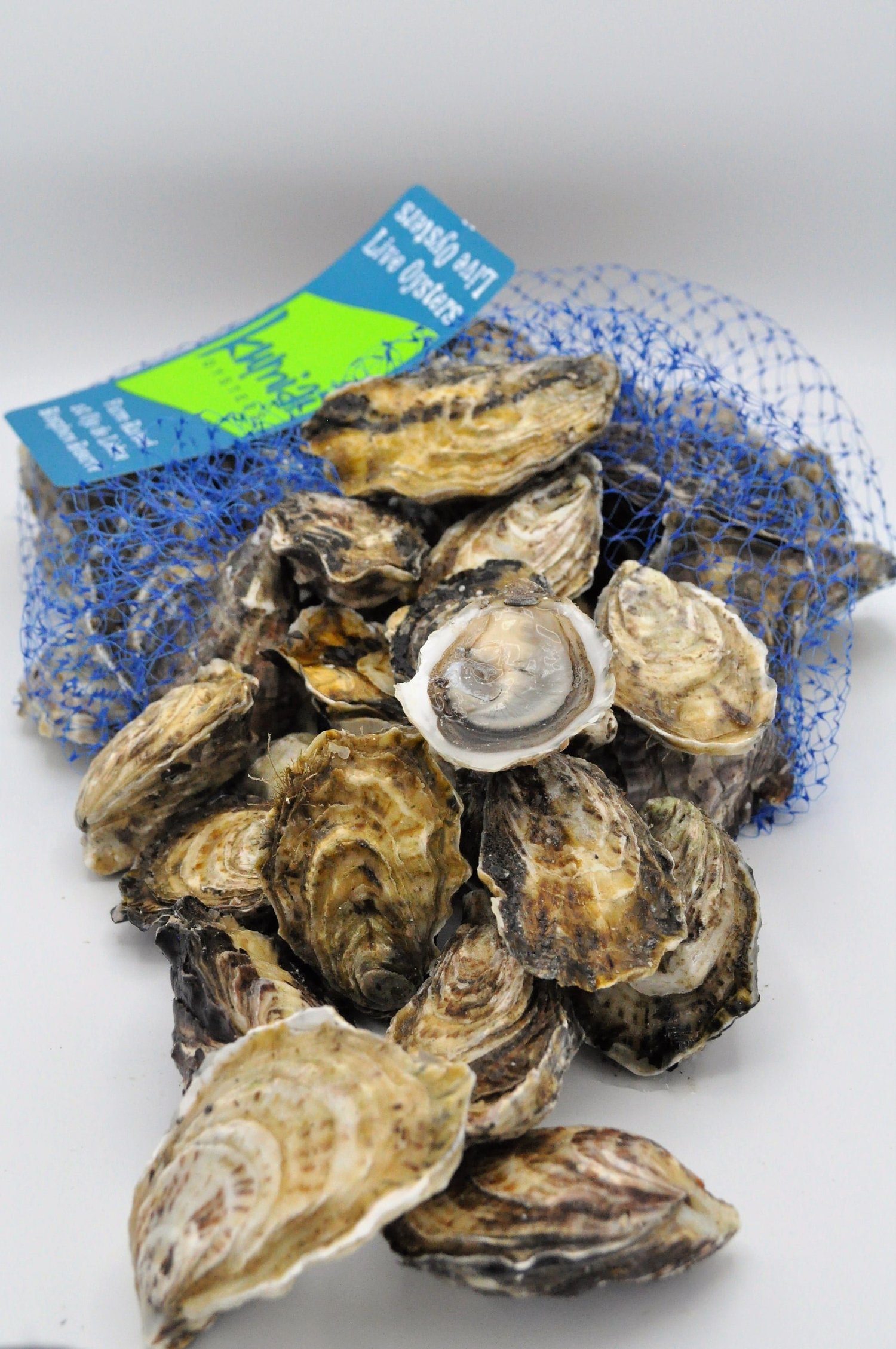 Kumiai Oysters – Briny, Bay Oysters & Meaty Shell Shape Guide | Baja ...