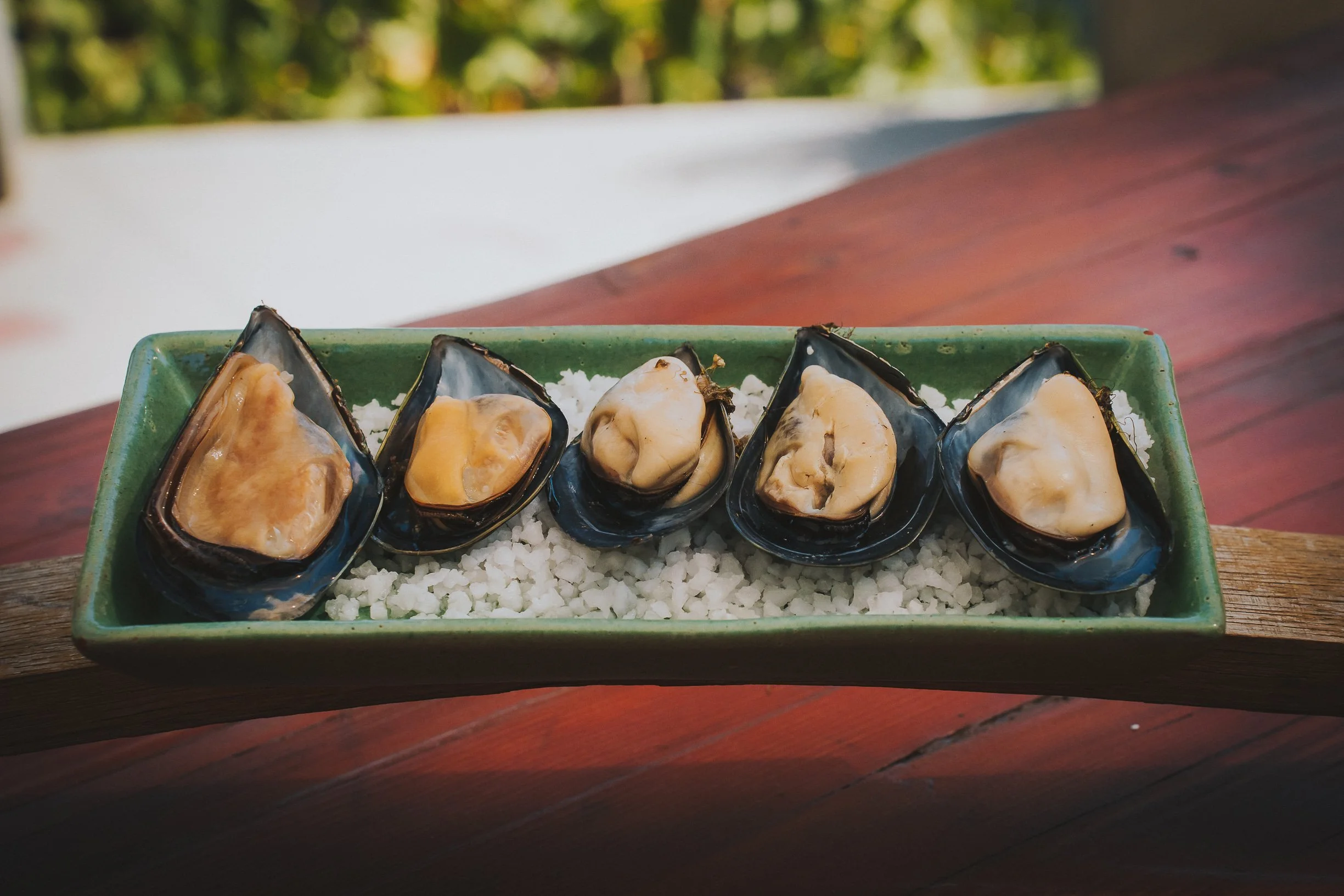 Whales Cove Mussels: All you need to know | Baja Shellfish Farms