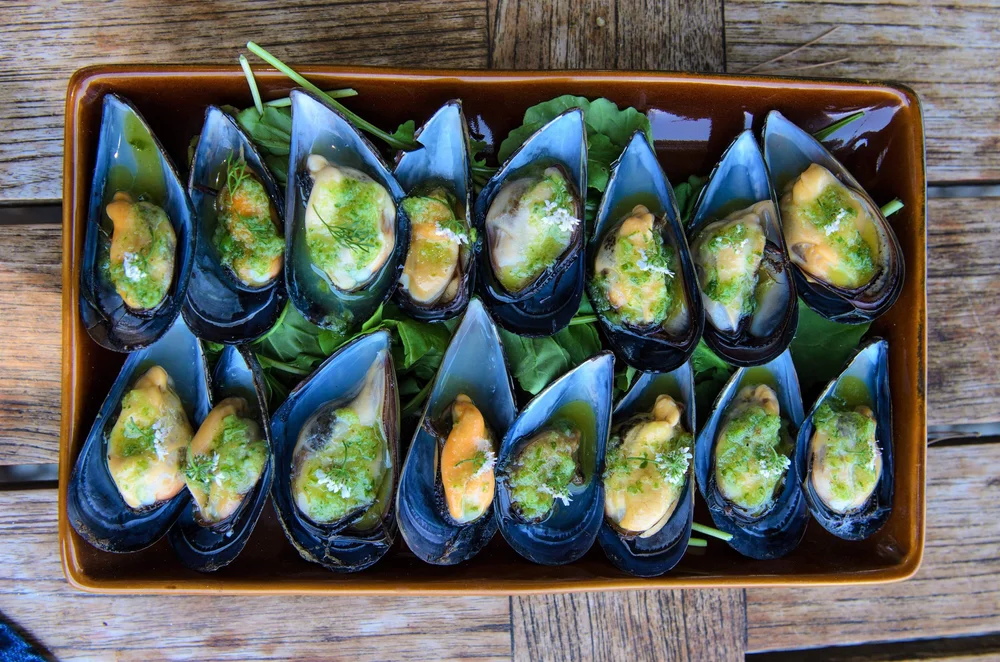 Whales Cove Mussels | Baja Shellfish Farms