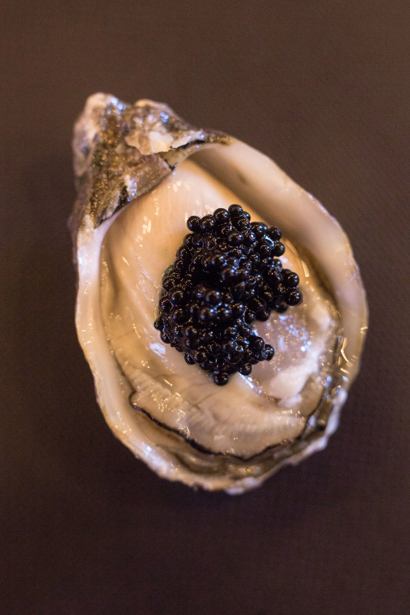 Baja Shellfish Farms | Mexico's Premier Shellfish Producers