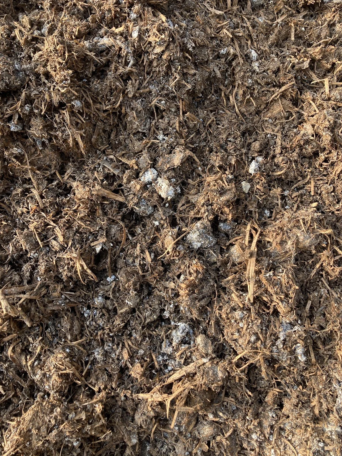 Symbiosis between Mushroom Cultivation and Vegetable Production ...