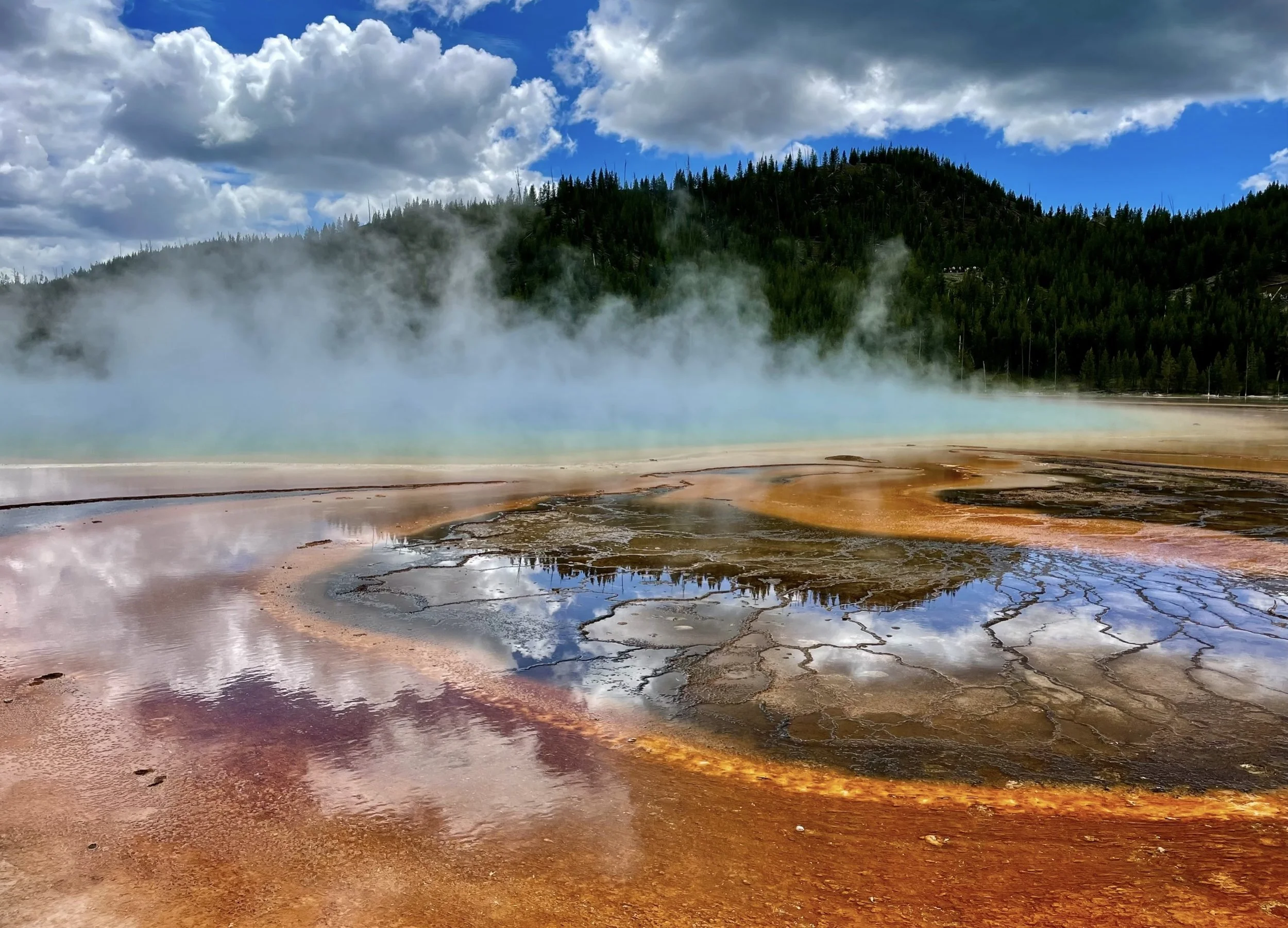 Guaranteed Best Price For Things To Do In Cody WY/Yellowstone Tours ...