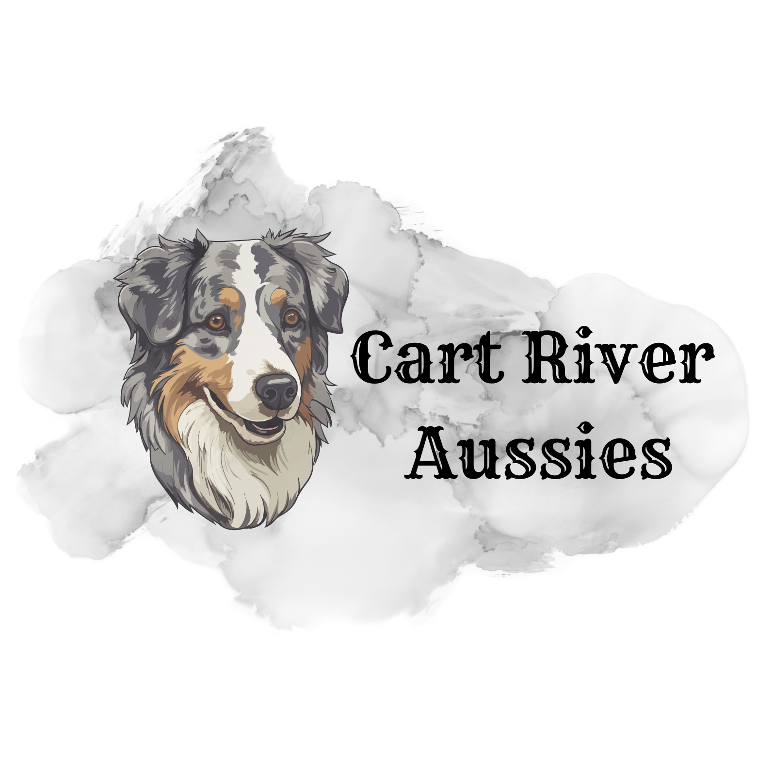 Cart River Aussies Cart River Aussies
