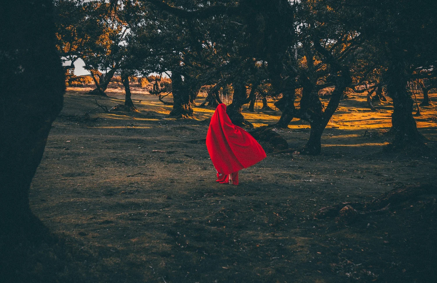 Why does MMIR Matter? — Indigenous Pride LA