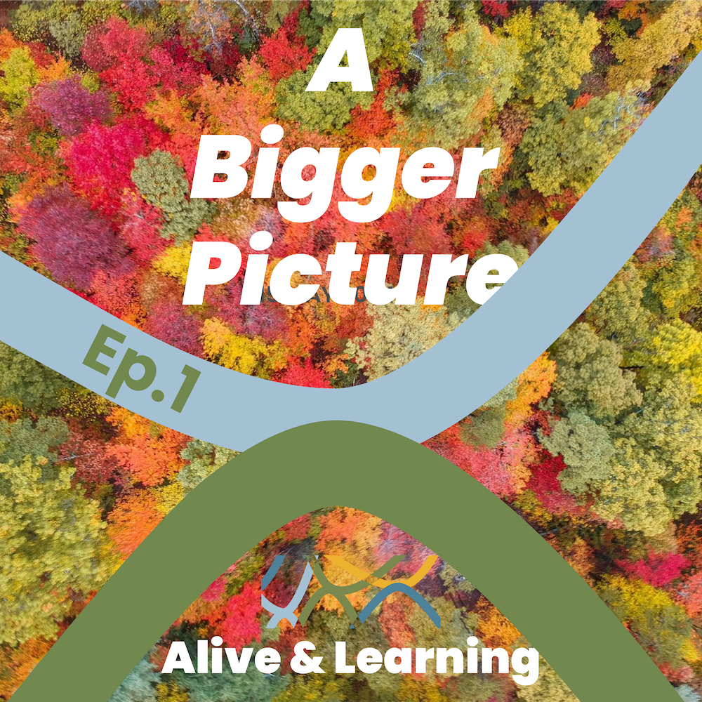 Alive & Learning Podcast