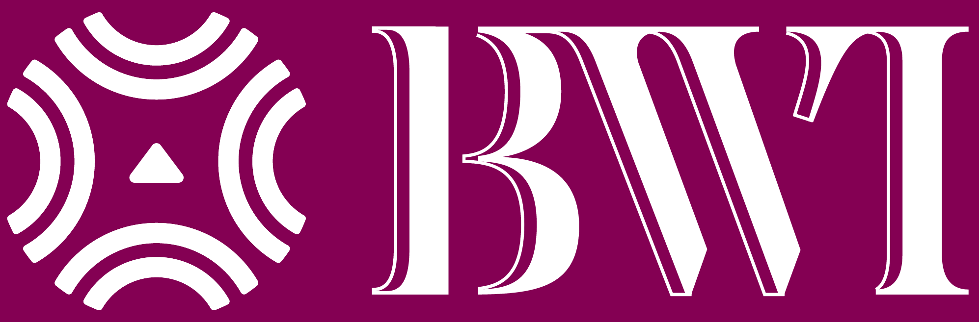 Team — Black Women Investors Network