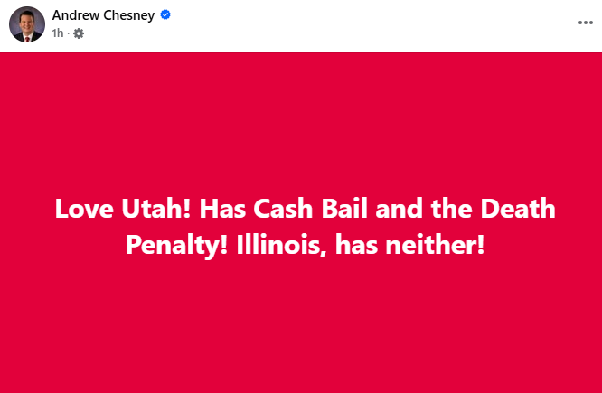 The Making of a Hypocrite: Andrew Chesney’s Empire of Privilege ...