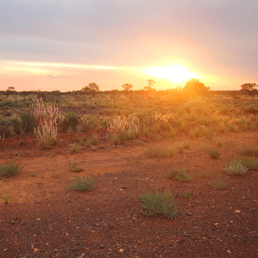 First Nations Affairs | Governance, Strategy & Advisory