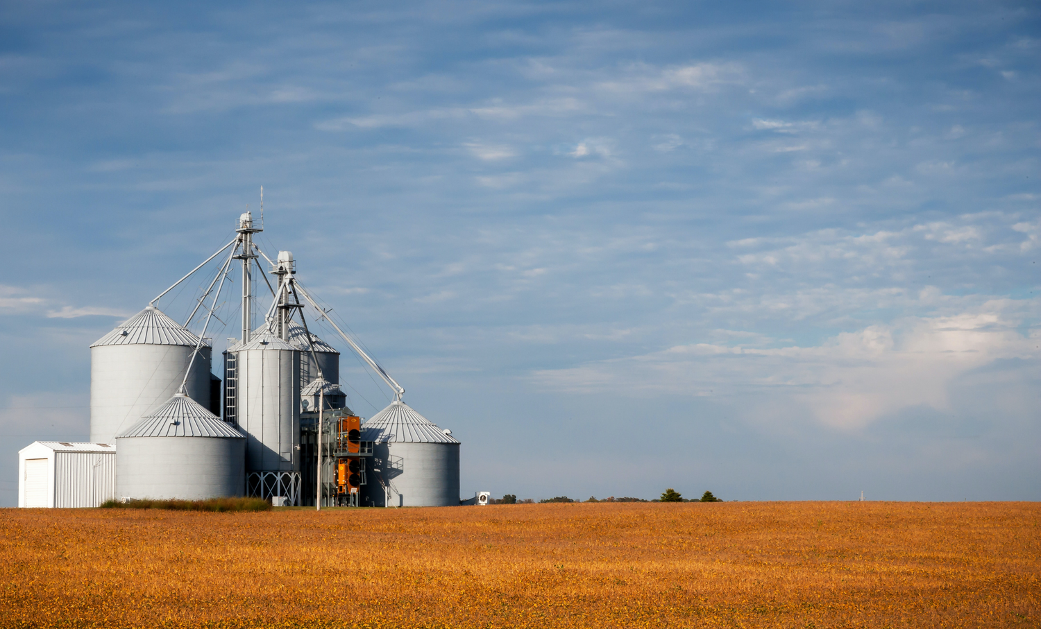 Who We Are — North American Export Grain Association