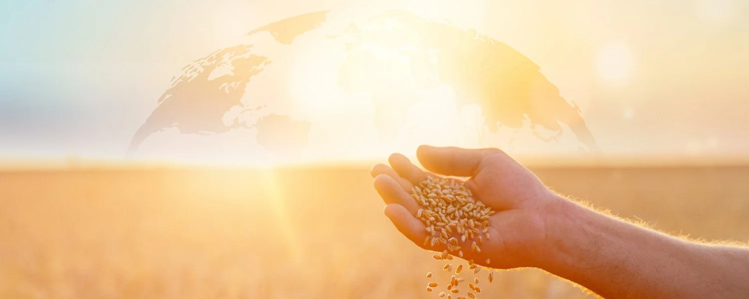 North American Export Grain Association